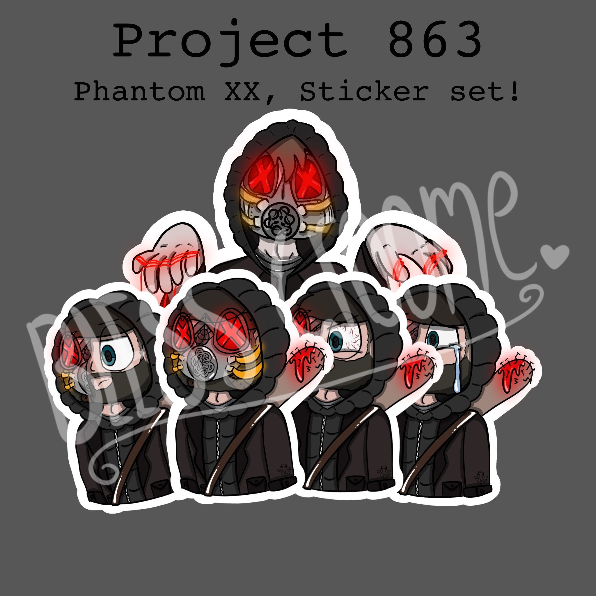 Project 863 Phantom Xx/matt Sticker Set - Etsy