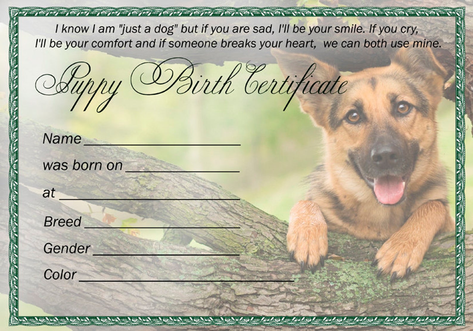 puppy-birth-certificate-pdf-funny-gift-for-dog-owners-etsy