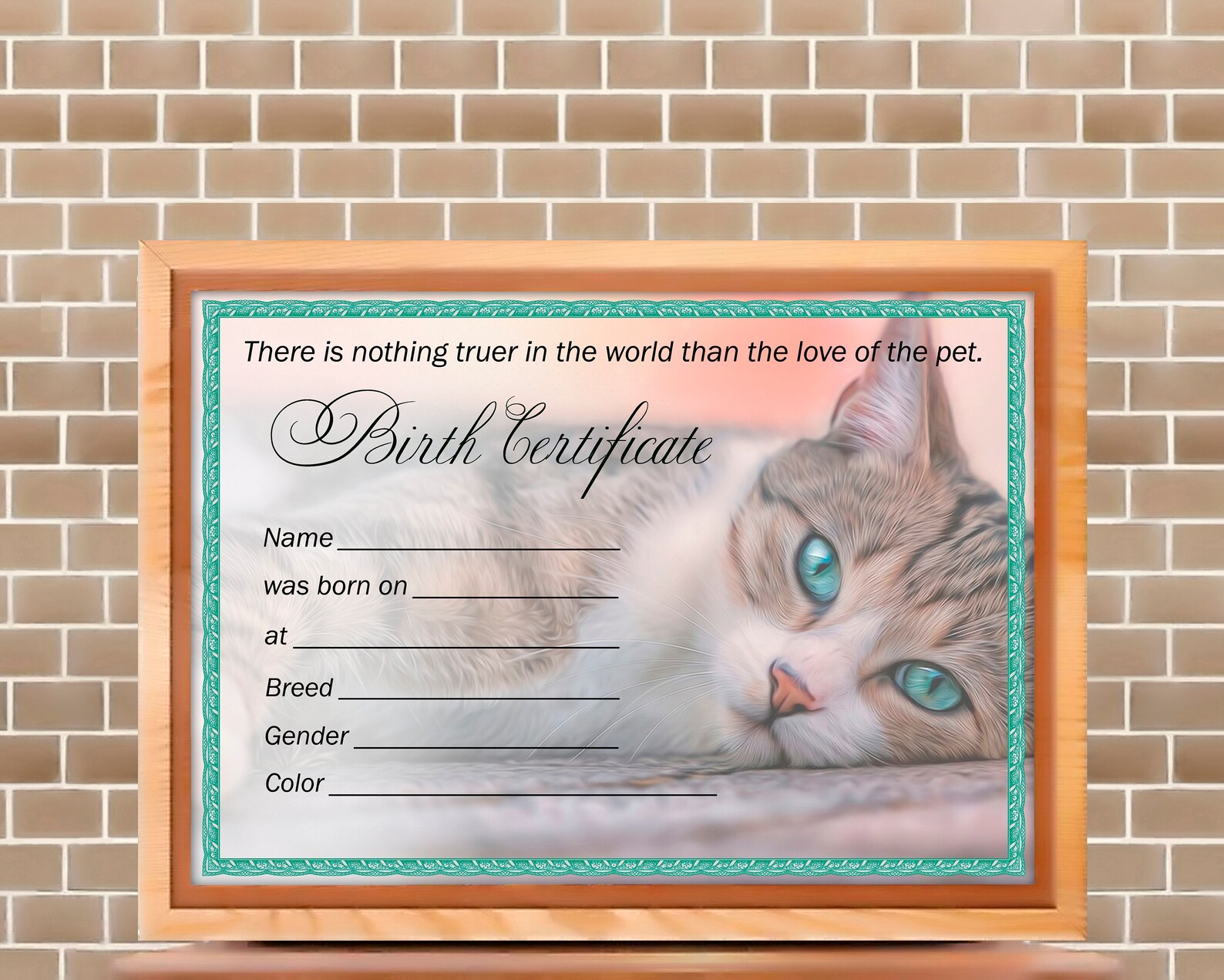 Kitten Birth Certificate Digital Download Pet Cat Birth Etsy
