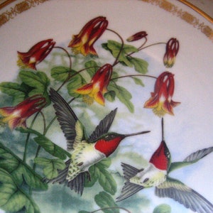 Ruby-throated Hummingbird Plate, the Jeweled Hummingbirds Plate by the ...