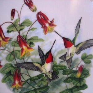 Ruby-throated Hummingbird Plate, the Jeweled Hummingbirds Plate by the ...