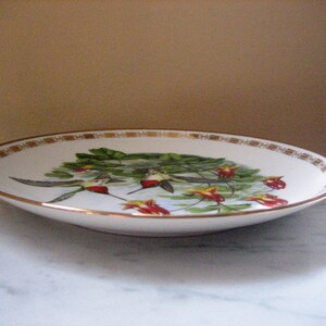 Ruby-throated Hummingbird Plate, the Jeweled Hummingbirds Plate by the ...