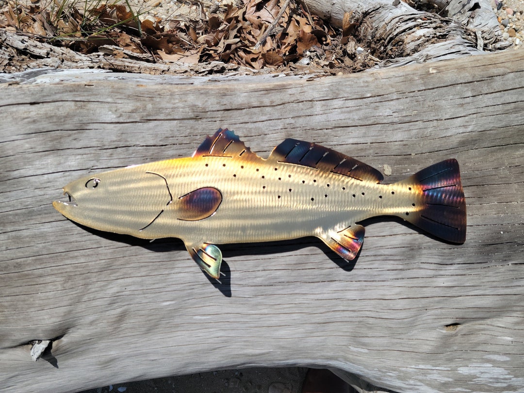 Speckled Trout Steel Wall Art- FREE SHIPPING (spotted Seatrout) - Etsy