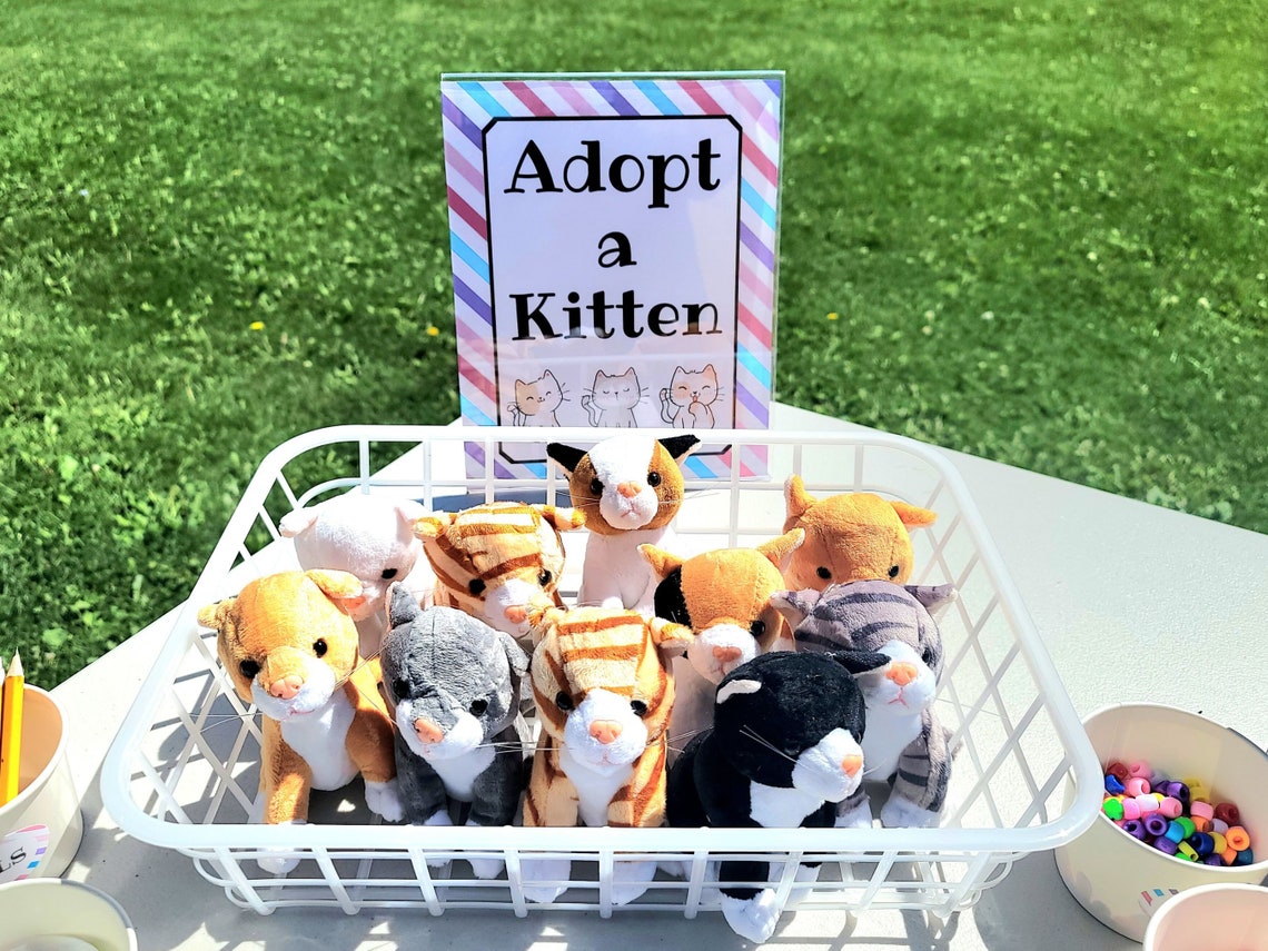 Adopt A Kitten Party Adopt A Pet Birthday Party Girl Adopt A - Etsy