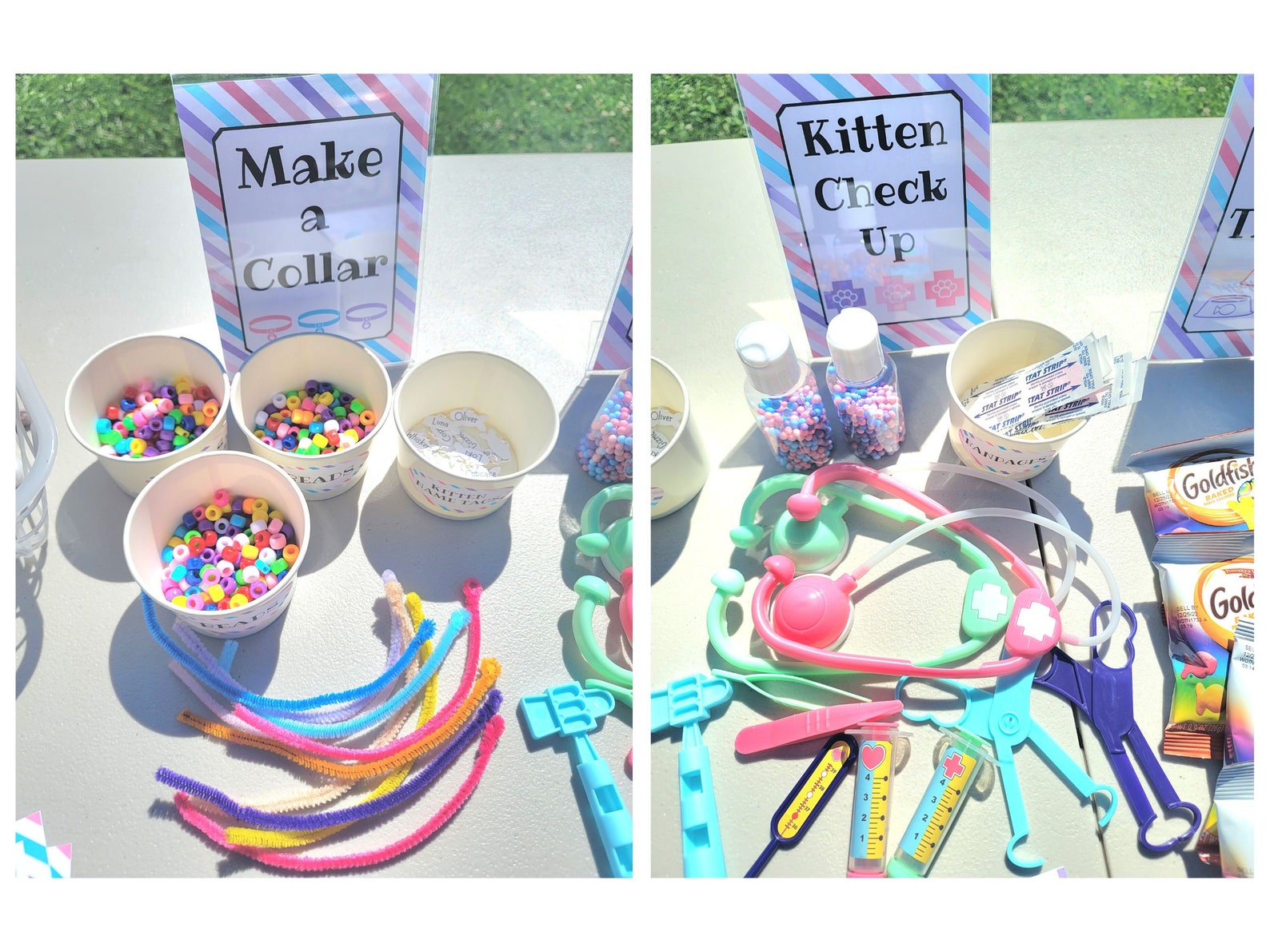 Adopt A Kitten Party Adopt A Pet Birthday Party Girl Adopt A - Etsy