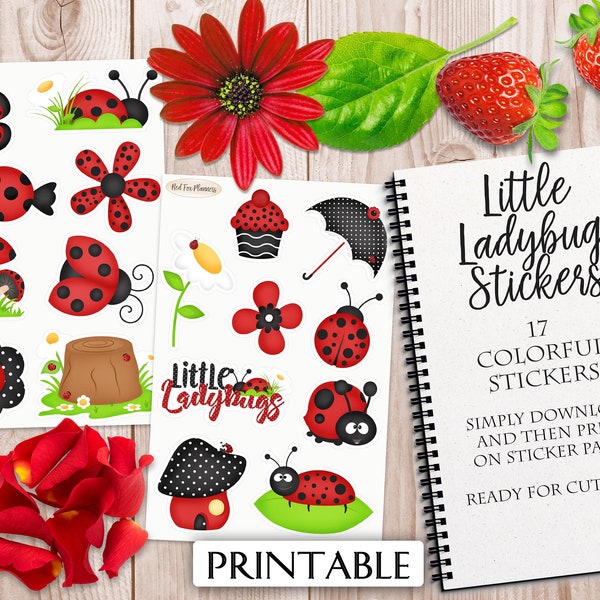 Miraculous Ladybug Stickers - Etsy