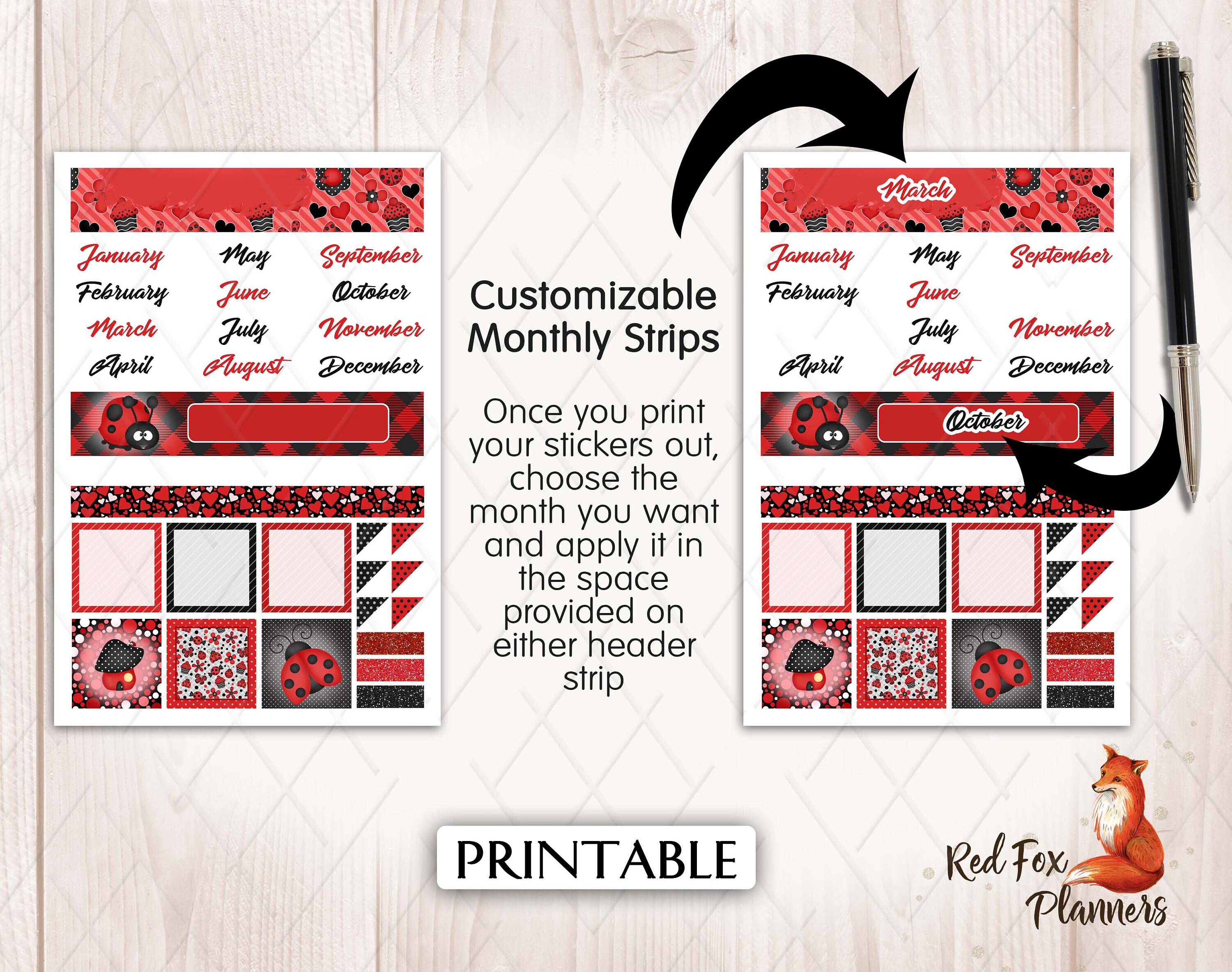 LADYBUG Happy Planner Printable Planner Sticker Kit, Ladybugs ...