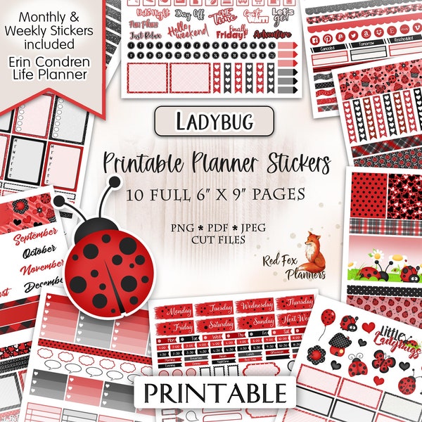 Ladybug Picnic - Etsy