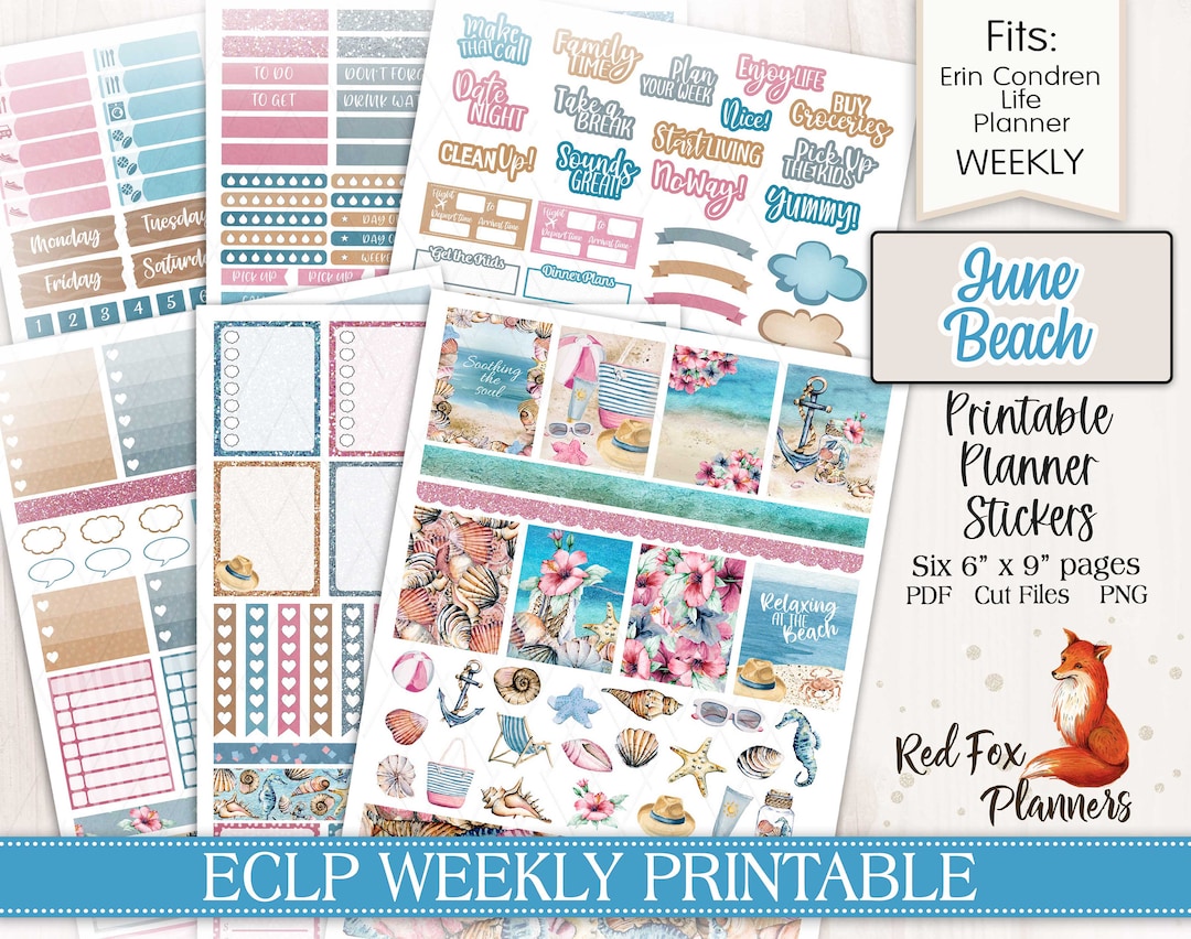 June Beach Erin Condren (ECLP) Weekly Printable Planner Stickers, Sand ...