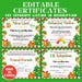 Printable Elf Notes and Activities | Christmas Elf Notes | Blank ...