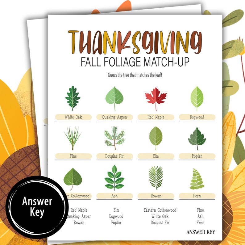 Thanksgiving Leaf Match Game | Match the Leaf With the Tree ...