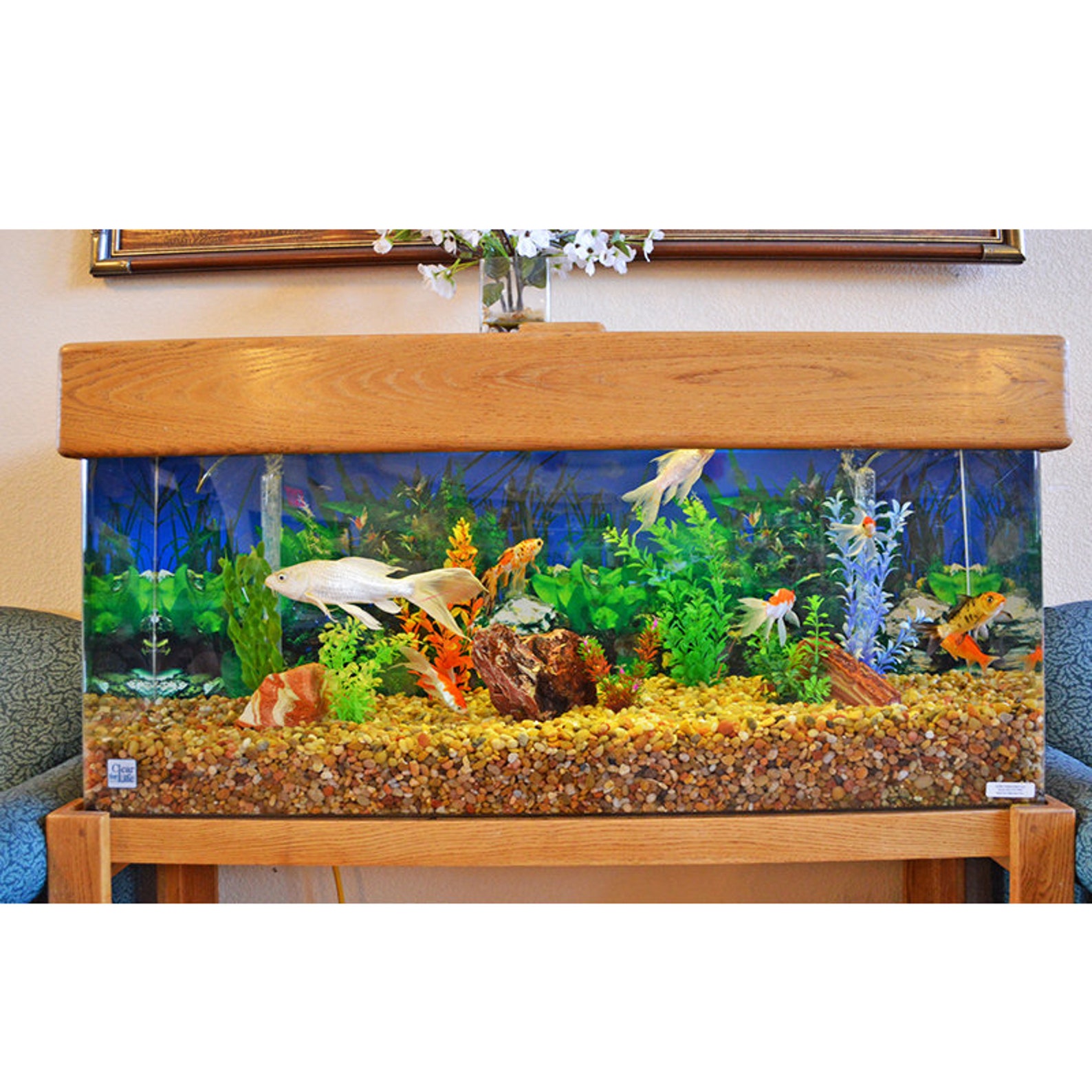 Handmade Personalized Unique Mahogany Wood Lighted Fish Tank Roof for ...