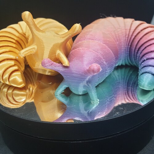 3D Printed Articulated Fidget Slug Toy Various Colors | Etsy