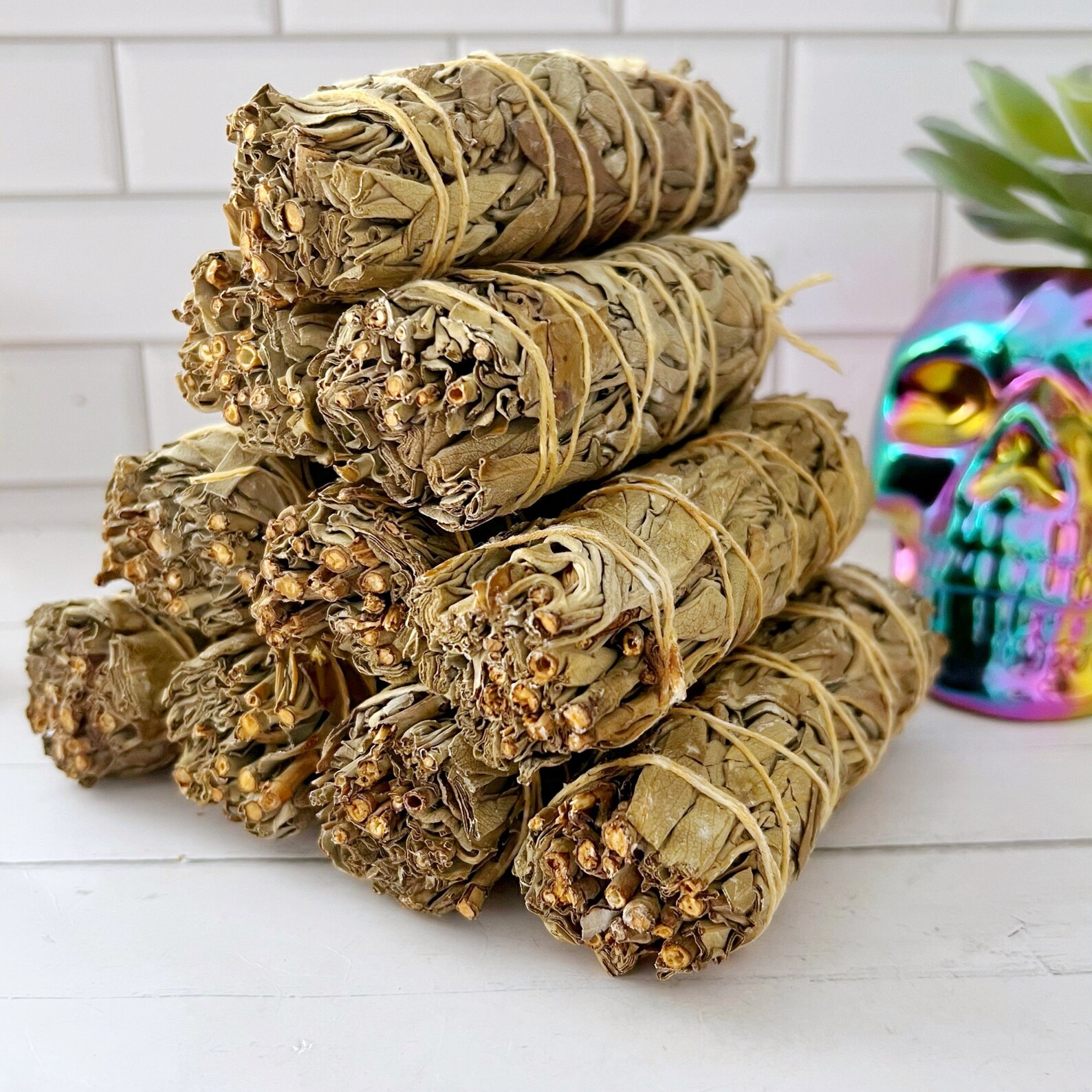 Organic White Sage With Dammar, 4" Damar Gum Resin Coated White Sage ...