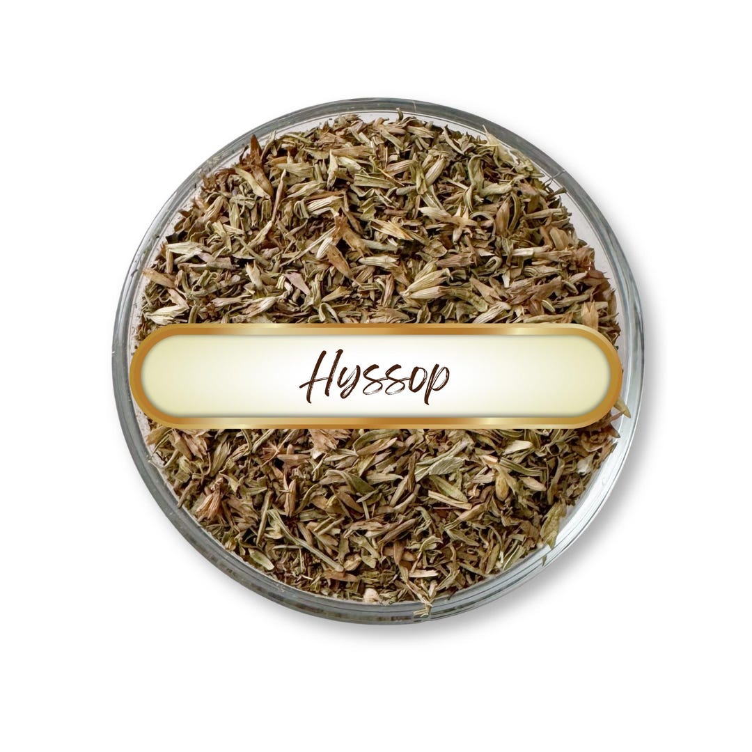 Hyssop Herb | Dried, Cut & Sifted | Hyssopus Officinalis - Etsy