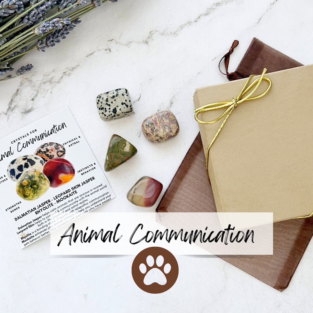 Animal Communication Crystal Set | Crystals for Pets, Dogs, Cats | Pet ...