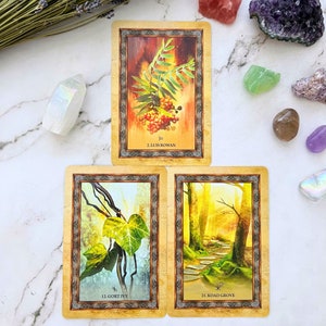 Celtic Tree Oracle Deck by Sharlyn Hidalgo | 25 Celtic Tree Oracle ...