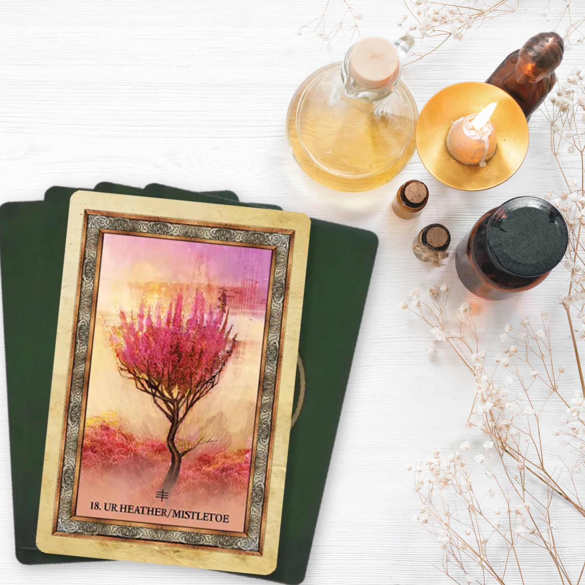 Celtic Tree Oracle Deck by Sharlyn Hidalgo 25 Celtic Tree - Etsy