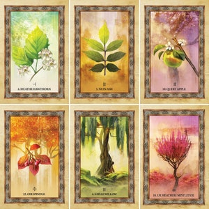 Celtic Tree Oracle Deck by Sharlyn Hidalgo | 25 Celtic Tree Oracle ...