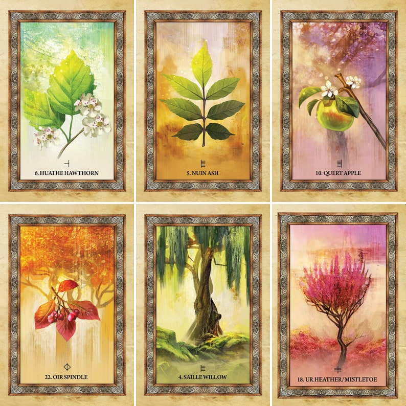 Celtic Tree Oracle Deck by Sharlyn Hidalgo 25 Celtic Tree - Etsy
