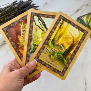 Celtic Tree Oracle Deck by Sharlyn Hidalgo | 25 Celtic Tree Oracle ...