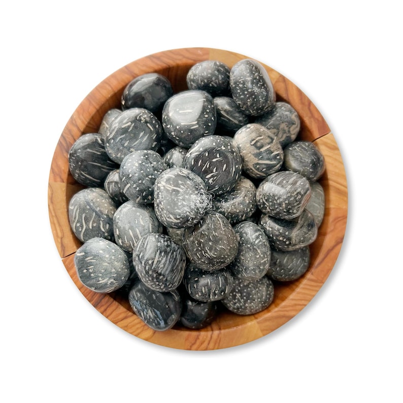 Crinoid Fossil | Polished Fossilized Crinoid Tumbled Stones | Shop ...