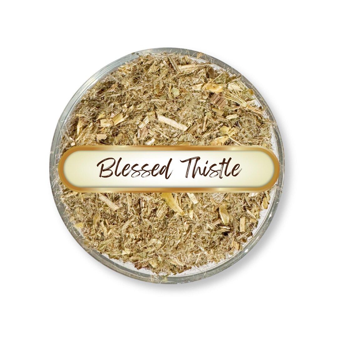 Blessed Thistle Herb | Dried, Cut & Sifted | Cnicus Benedictus - Etsy