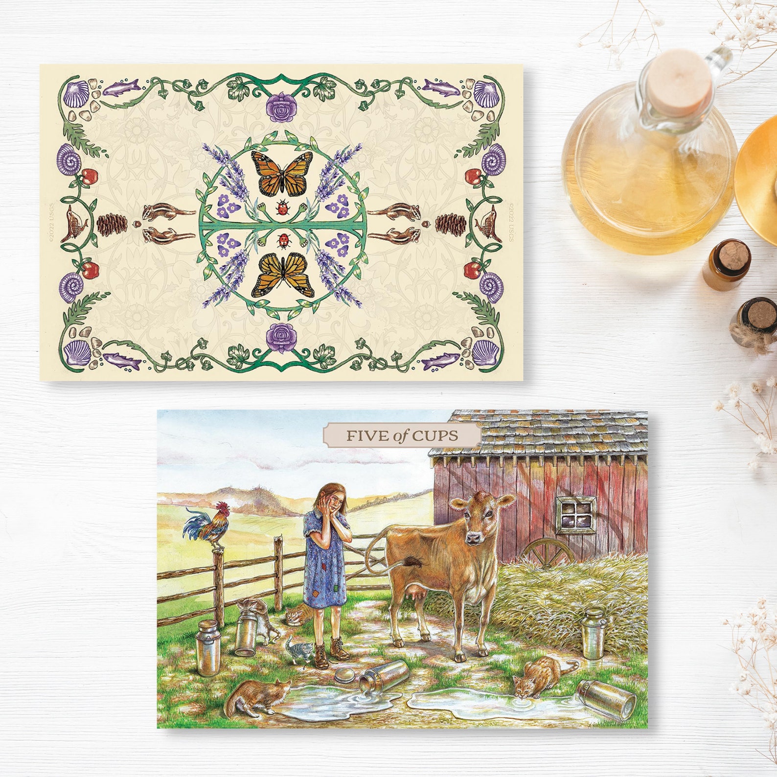 Pastoral Tarot Card Deck by Lynn Araujo | Deluxe Set Includes 78 ...