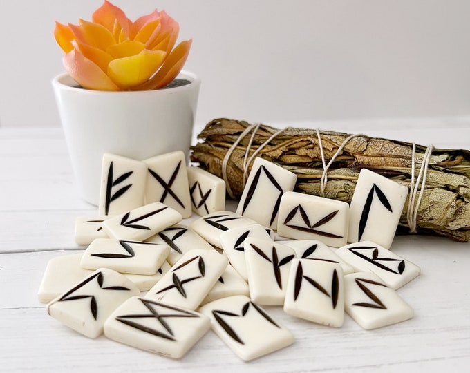 Buffalo Bone Runes | Bone Rune Stones Set | Set of 25 Water Buffalo ...