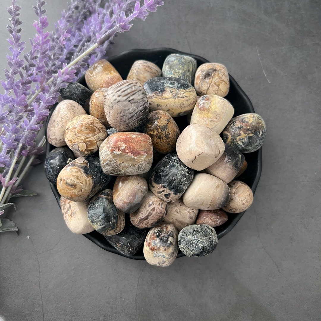 Fossilized Palm Root Tumbled Stones | Polished Fossil Palm Wood Crystal ...