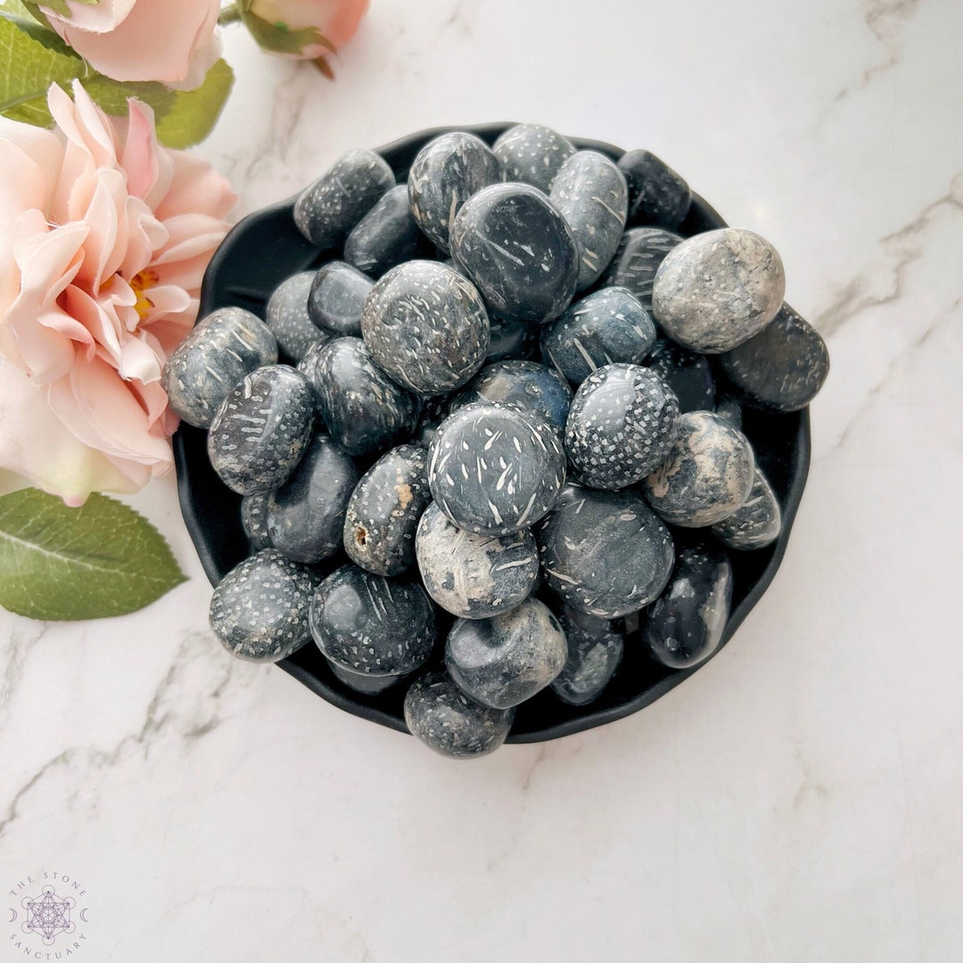 Crinoid Fossil | Polished Fossilized Crinoid Tumbled Stones | Shop ...