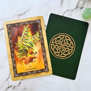 Celtic Tree Oracle Deck by Sharlyn Hidalgo | 25 Celtic Tree Oracle ...