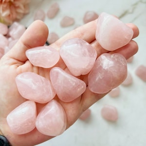 Rose Quartz Tumbled Stones | Grade EX Polished Crystal Gemstones for ...