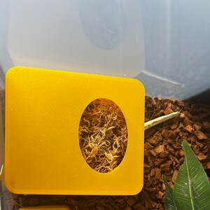 Humid Hide, Nest Box, Lay Box, Egg Box, Dig Box for Geckos, Reptiles - Etsy