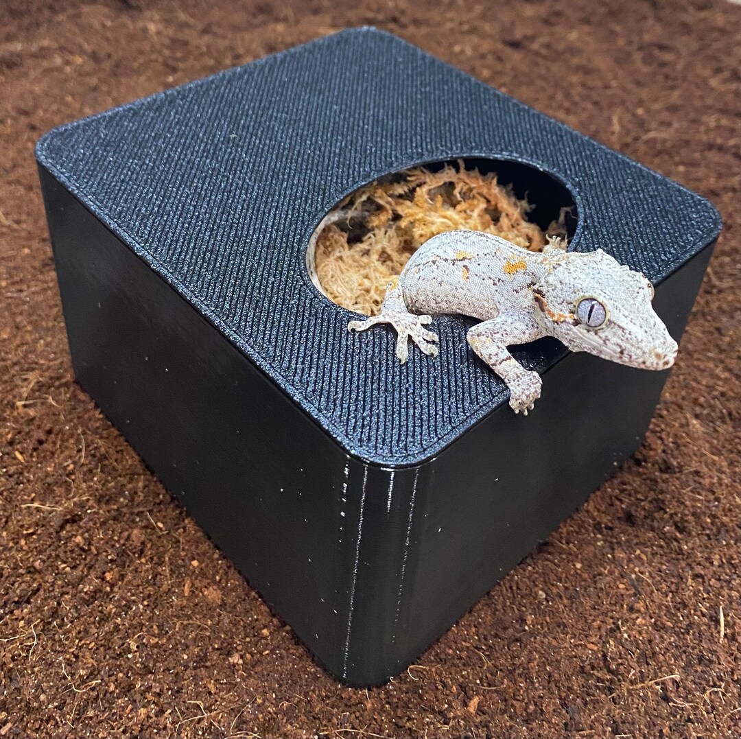 Humid Hide, Nest Box, Lay Box, Egg Box, Dig Box for Geckos, Reptiles - Etsy