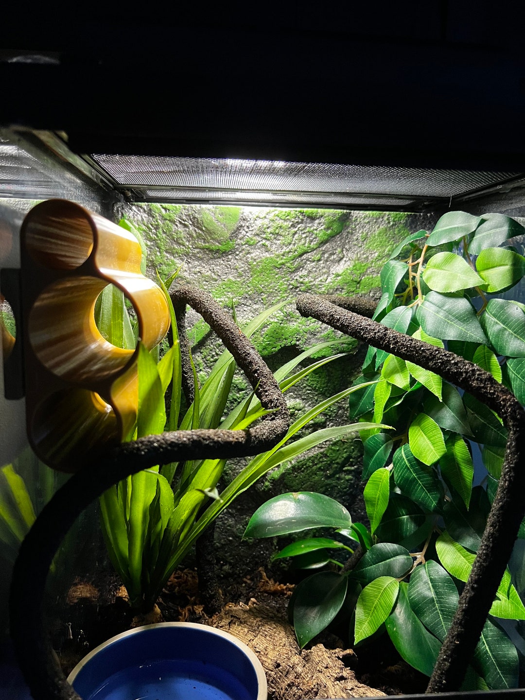 Magnetic Tube Hide for Lizards, Geckos or Frogs - Etsy