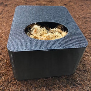 Humid Hide, Nest Box, Lay Box, Egg Box, Dig Box for Geckos, Reptiles - Etsy