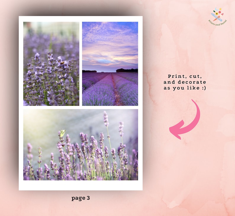 Printable Lavender Field Photo Kit Lavender Photo Collection Printable ...
