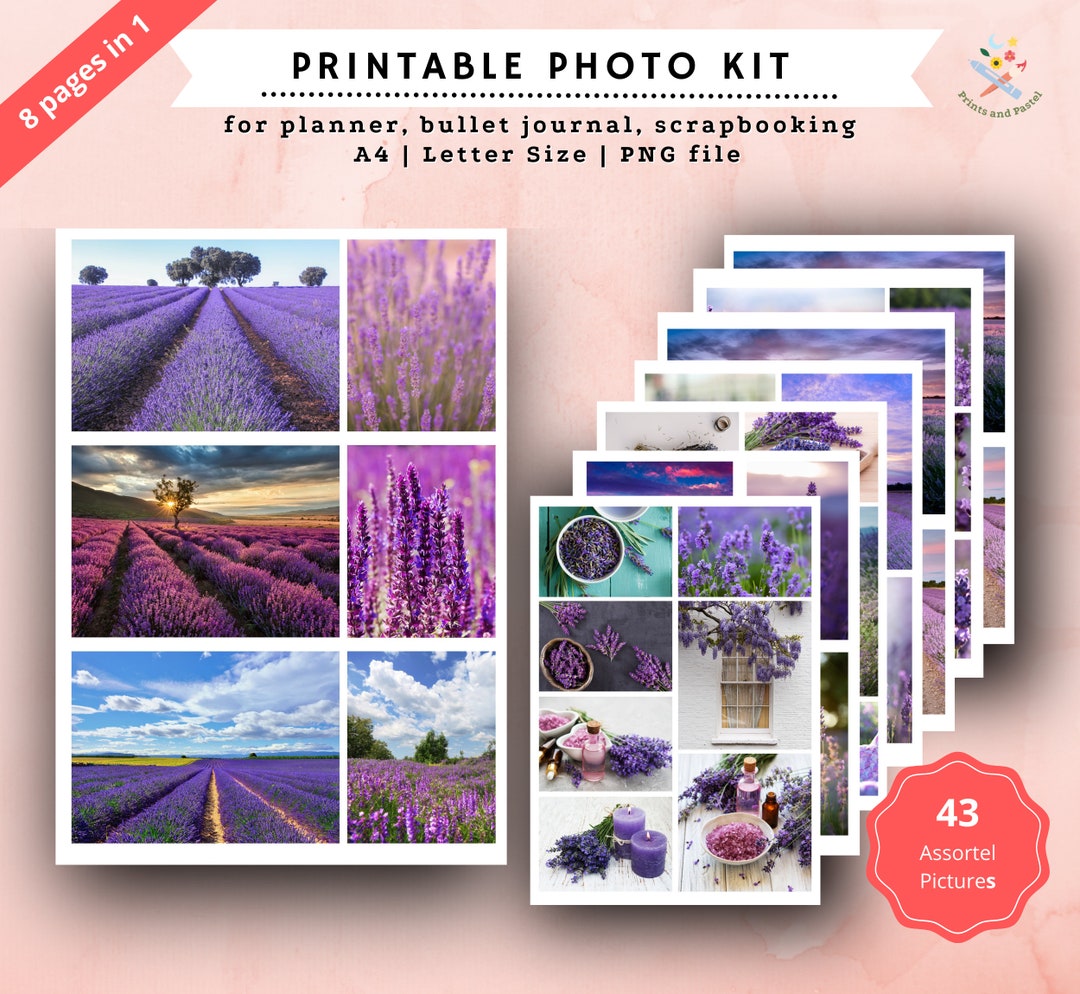 Printable Lavender Field Photo Kit Lavender Photo Collection Printable ...