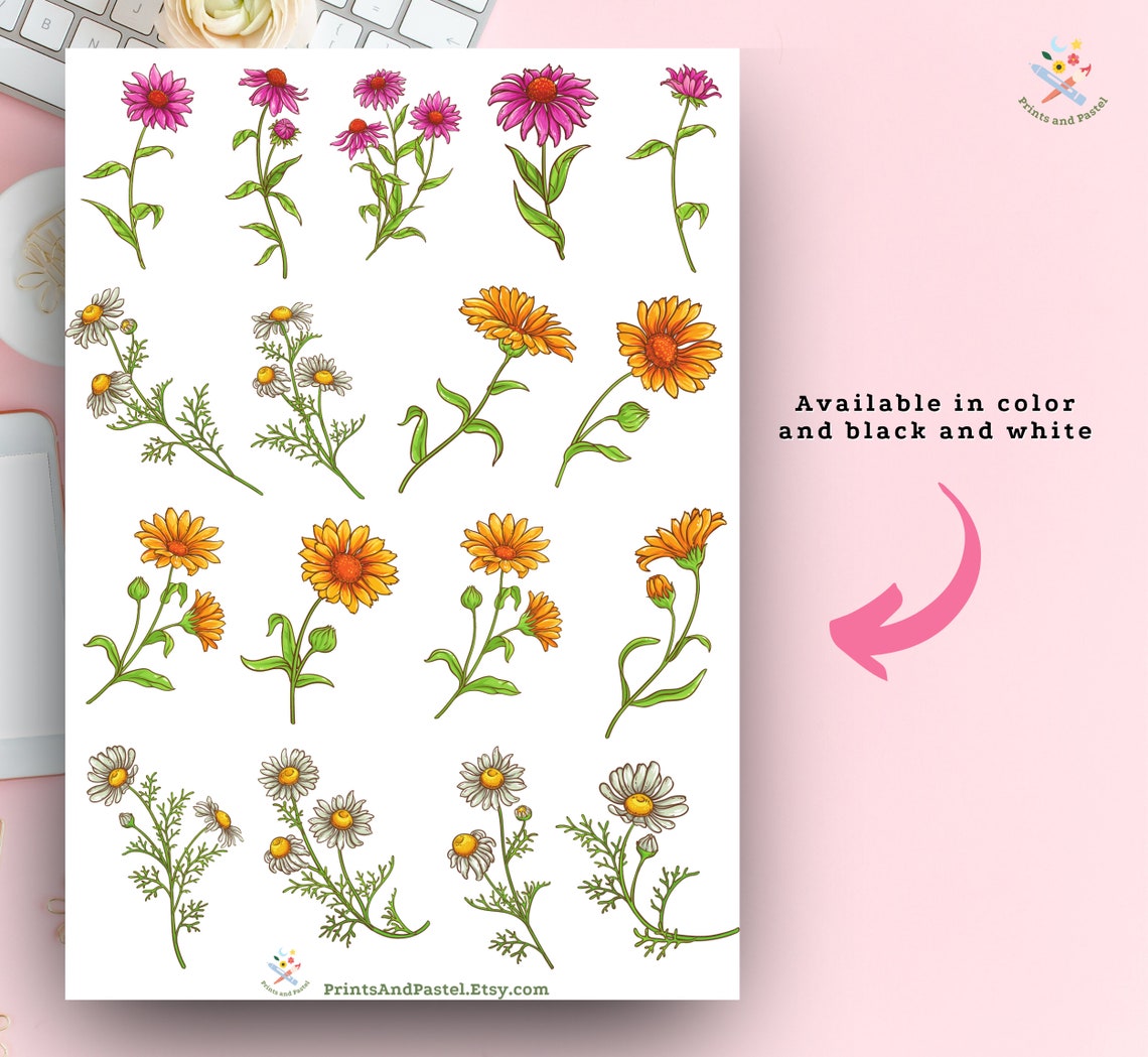 Printable Floral Stickers for Journal Stickers Planner Flower Stickers ...