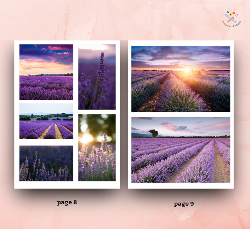 Printable Lavender Field Photo Kit Lavender Photo Collection Printable ...