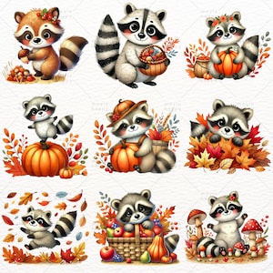 Fall Raccoon Clipart, Cute Raccoon PNG, Fall Season, Autumn Theme, DIY ...
