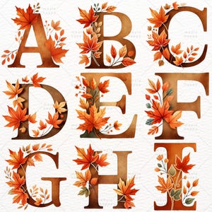 Watercolor Autumn Maple Alphabet Clipart: Transparent PNG (digital ...