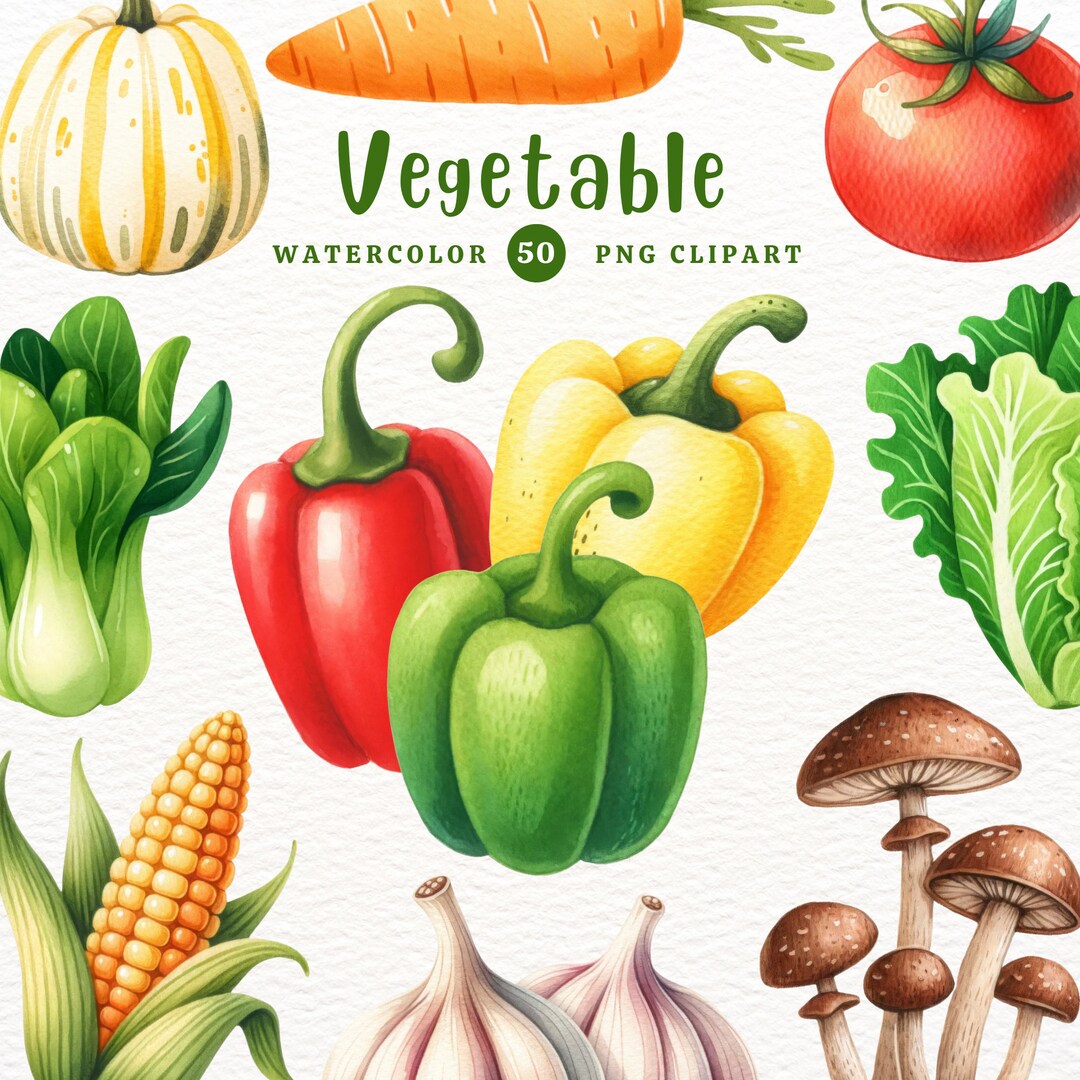 Watercolor Vegetable Clipart: 50 PNG Healthy Food Graphics (digital ...