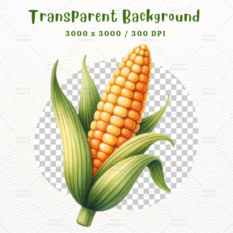 Vegetable, Fresh Vegetable, Vegetable Clipart, Vegetable PNG, Healthy ...