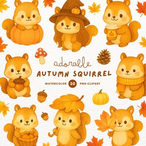 Watercolor Autumn Squirrel Clipart: 30 PNG Designs (digital Download ...