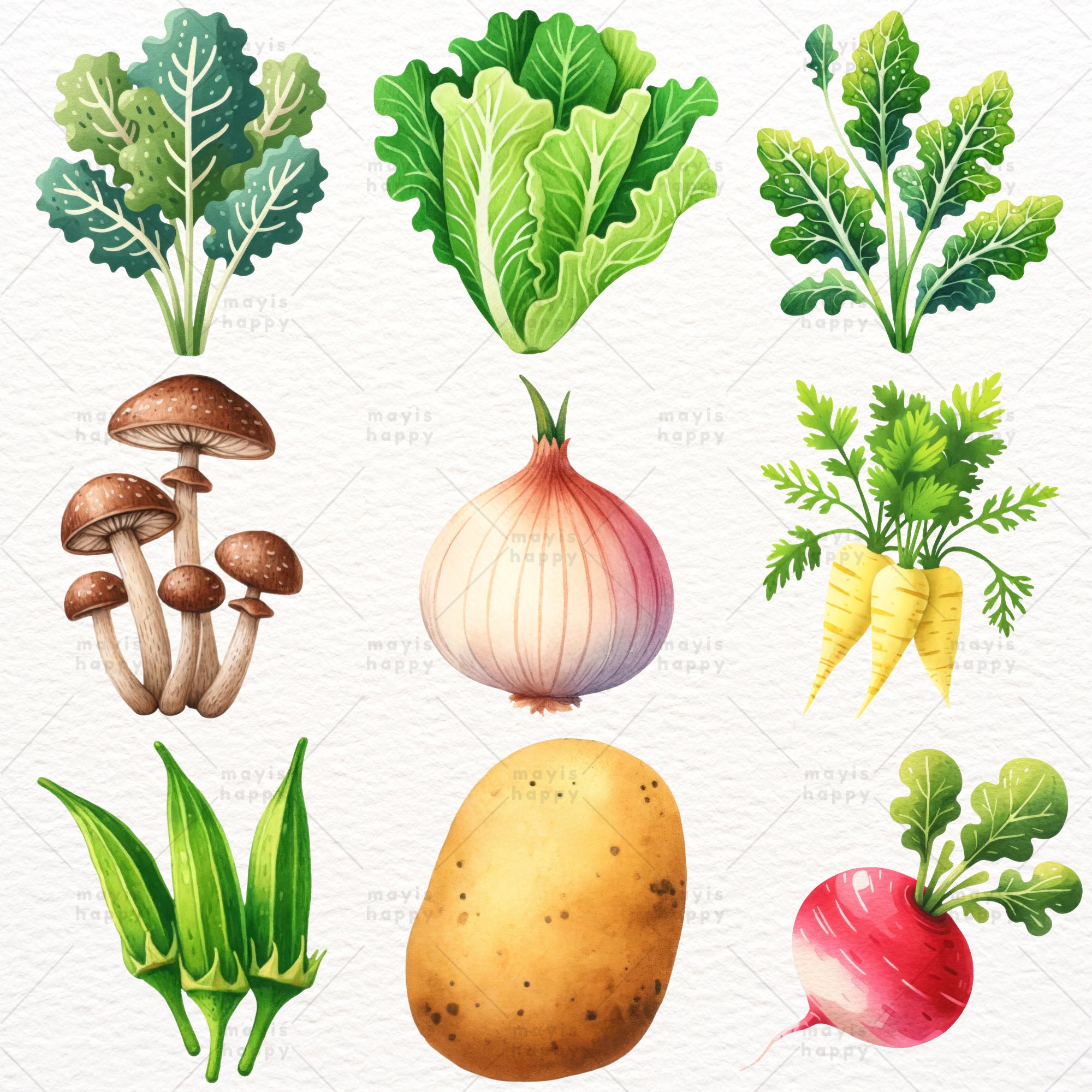 Vegetable, Fresh Vegetable, Vegetable Clipart, Vegetable PNG, Healthy ...