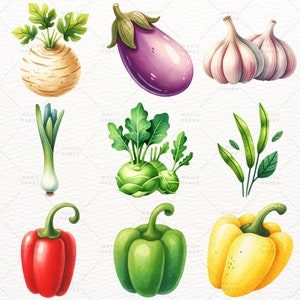 Watercolor Vegetable Clipart: 50 PNG Healthy Food Graphics (digital ...