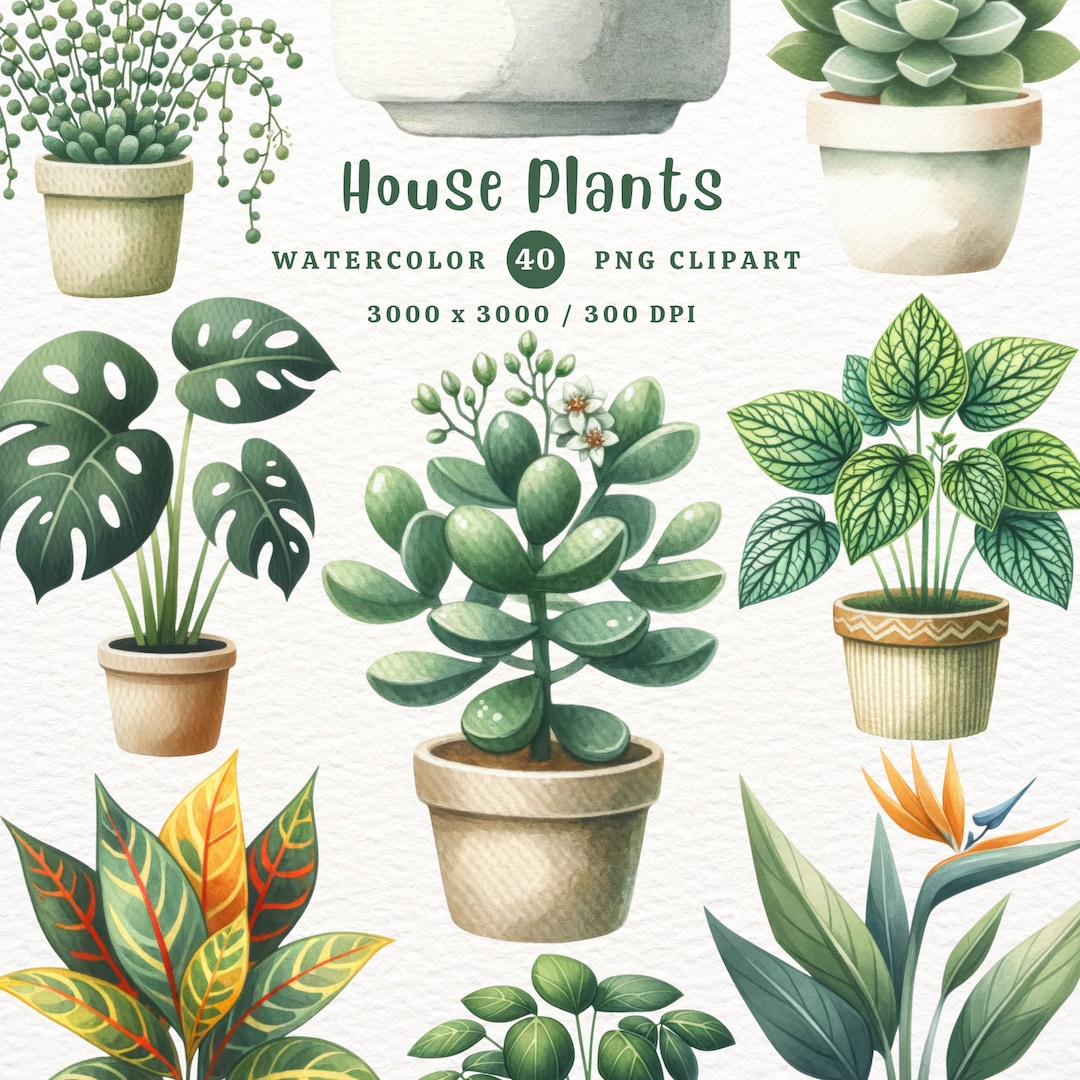 Watercolor House Plants Clipart: 40 PNG Bundle (digital Download) - Etsy