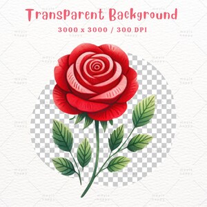 Valentine Flower Clipart, Rose Clipart, Valentine's Day, Beautiful ...